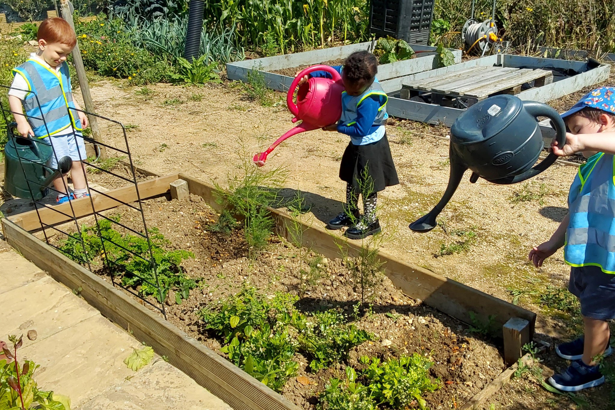The Little Lighthouse Nursery